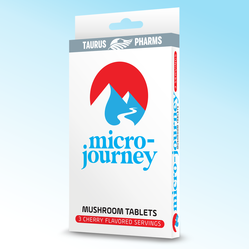 MICRO JOURNEY – Micro-Journey
